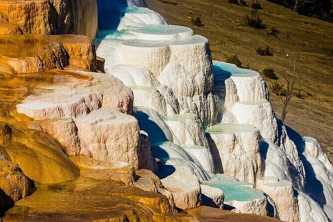 Yellowstone Lower Loop VIP Full-Day Private Tour with Lunch - The Experience: What Travelers Can Expect