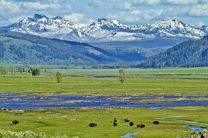 Yellowstone Lower Loop VIP Full-Day Private Tour with Lunch - Considering the Cost and Overall Value