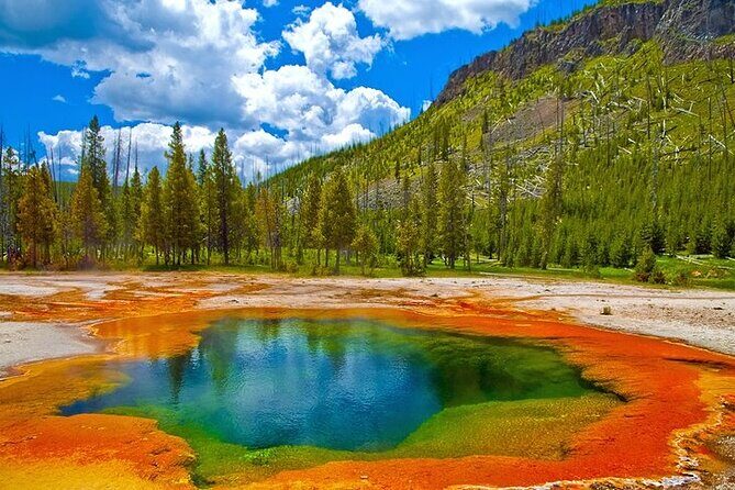 Yellowstone Lower Loop VIP Full-Day Private Tour with Lunch - Final Thoughts