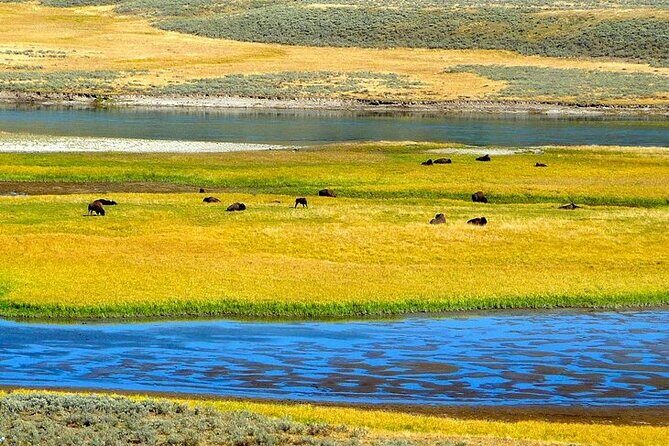 Yellowstone Lower Loop VIP Full-Day Private Tour with Lunch - Frequently Asked Questions
