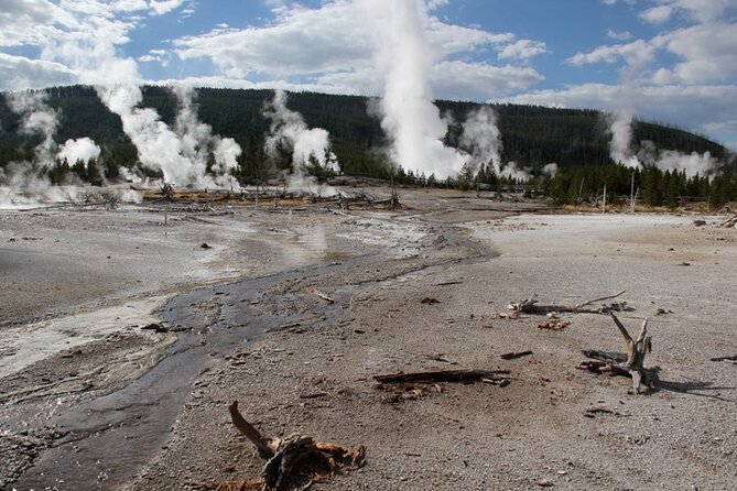 Yellowstone Lower Loop VIP Full-Day Private Tour with Lunch - Key Points