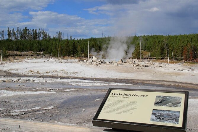 Yellowstone Lower Loop VIP Full-Day Private Tour with Lunch - Final Thoughts