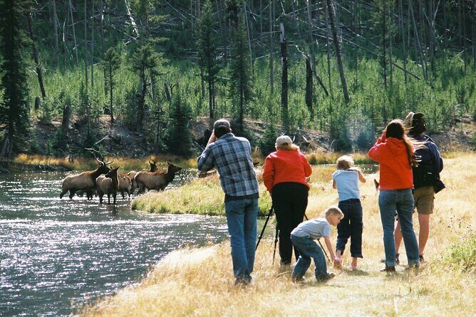 Yellowstone Lower (Southern) Loop Tour - Who Will Love This Tour?