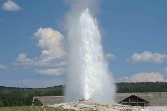 Yellowstone National Park - Full-Day Lower Loop Tour from Jackson - What You Can Expect on the Itinerary