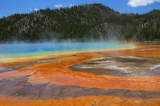 Yellowstone National Park - Full-Day Lower Loop Tour from West Yellowstone - The Sum Up