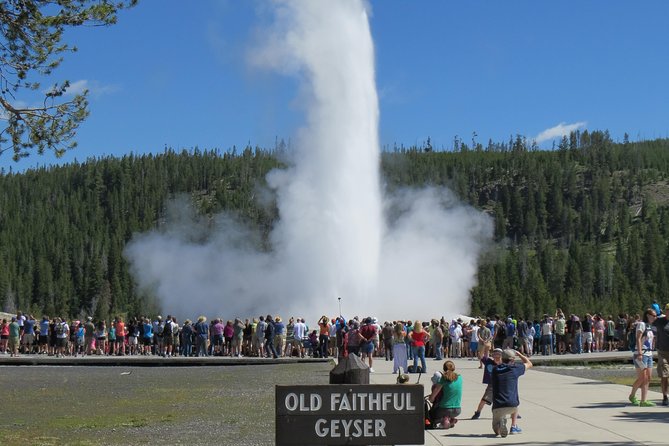 Yellowstone National Park - PRIVATE Full-Day Lower Loop Tour from Jackson Hole - What’s Included and What’s Not