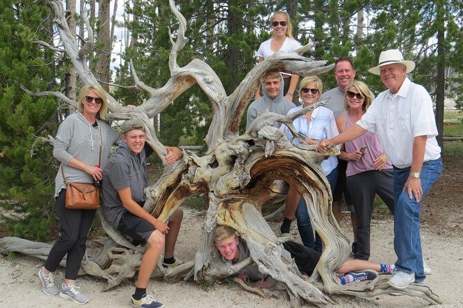Yellowstone National Park - PRIVATE Full-Day Lower Loop Tour from W. Yellowstone - Why this tour stands out