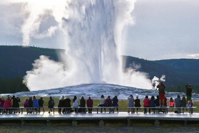 Yellowstone National Park Tour from Jackson Hole - Is This Tour Worth It?