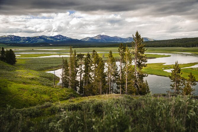 Yellowstone National Park Tour from Jackson Hole - Who Should Consider This Tour?