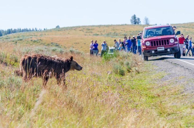 Yellowstone Old Faithful and Waterfall Tour - FAQ
