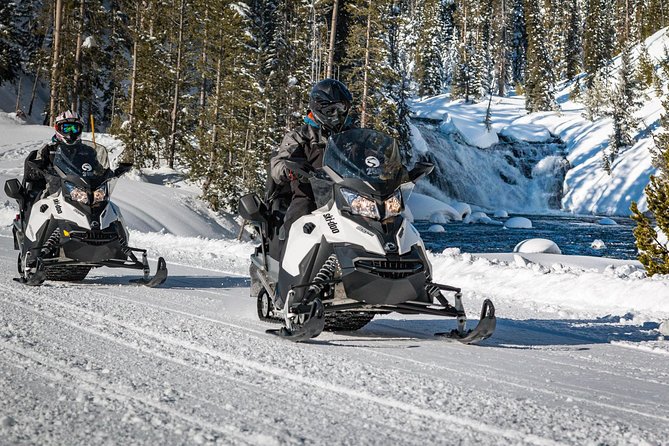 Yellowstone Old Faithful Full-Day Snowmobile Tour from Jackson Hole - Who Is This Tour Best For?