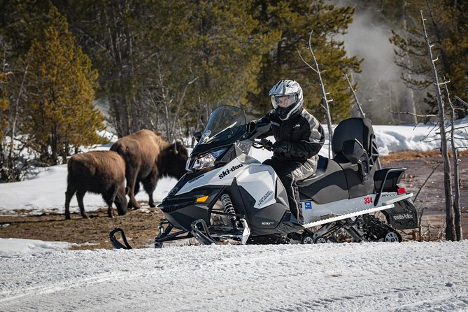 Yellowstone Old Faithful Full-Day Snowmobile Tour from Jackson Hole - Final Thoughts
