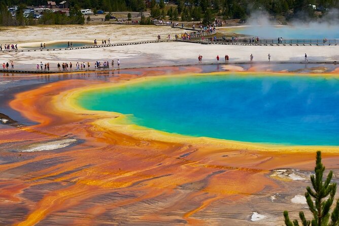 Yellowstone: Private Guided Tour - The Itinerary: Breaking Down the Highlights