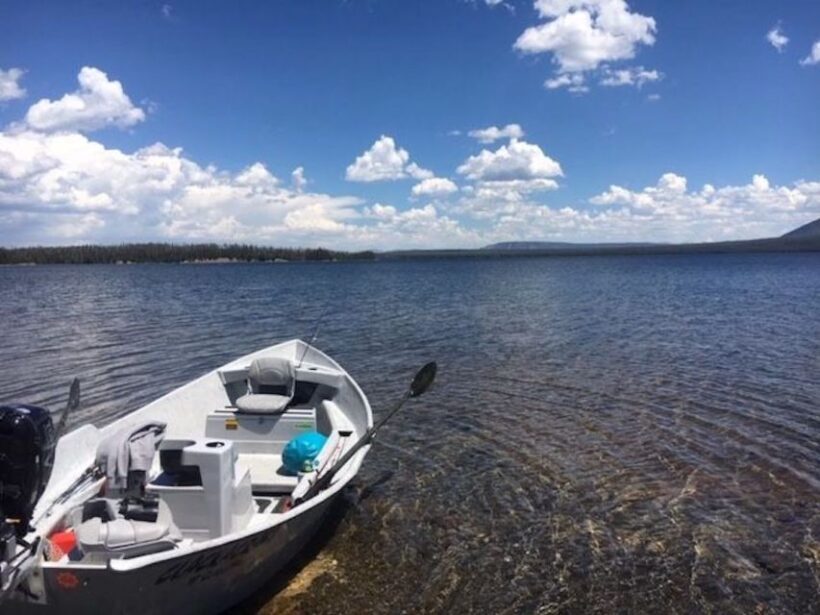 Yellowstone: Private Lewis Lake Fishing Trip From Jackson - Getting to Know the Tour