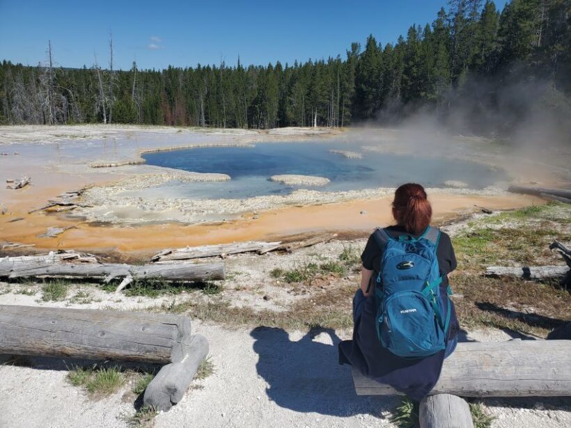Yellowstone: Upper Geyser Basin Hike with Lunch - Food and Comfort