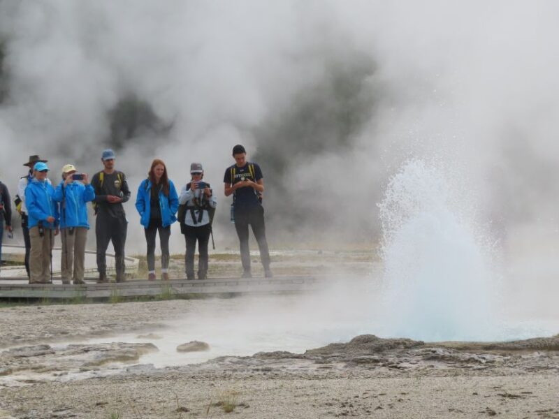 Yellowstone: Upper Geyser Basin Hike with Lunch - Key Points