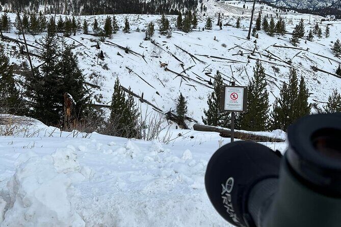 Yellowstone Winter Wildlife with Snowshoeing VIP Experience - Final Thoughts: Is This Tour Worth It?