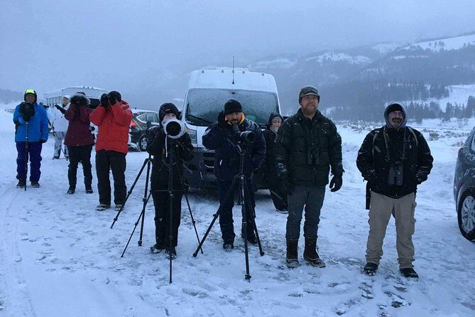 Yellowstone Wolves and Winter 4Day/3Night Adventure from Montana - Day 2: The Heart of Wolf Country—Lamar Valley and Beyond