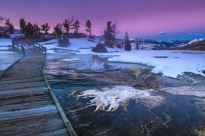 Yellowstone Wolves and Winter 4Day/3Night Adventure from Montana - Day 3: Repeating the Wildlife Magic