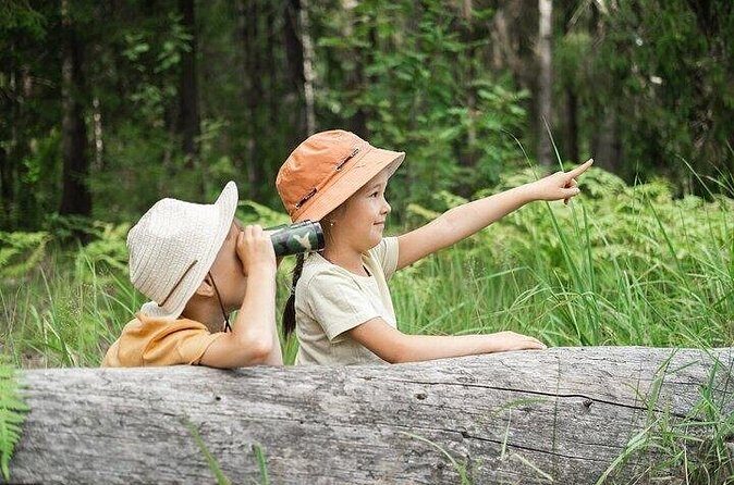 Yellowstone's Nature's Playground in a Family-Friendly Adventure - A Closer Look at the Experience