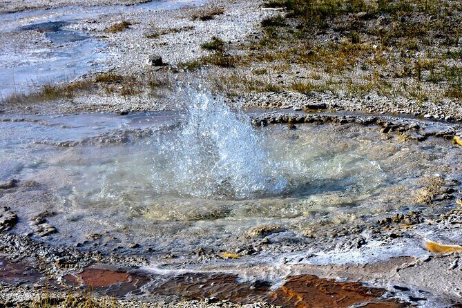 Yellowstone's Old Faithful Self-Guided Walking Tour - Final Thoughts