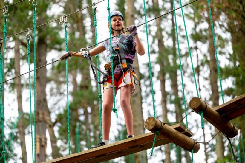 Yeodene: Tree Ropes Courses - An In-Depth Look at Yeodene’s Tree Ropes Courses