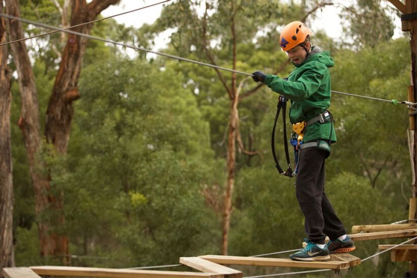 Yeodene: Tree Ropes Courses - The Sum Up