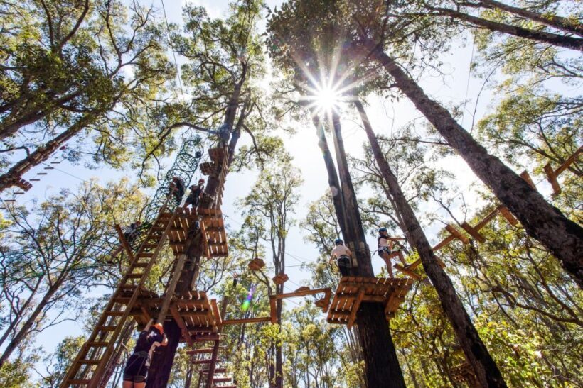 Yeodene: Tree Ropes Courses - FAQ