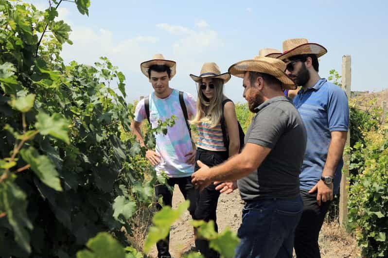 Yerevan: Khor Virap Day Trip with Mount Ararat Wine Tasting - Exploring the Highlights: Khor Virap and the Mountain of Ararat