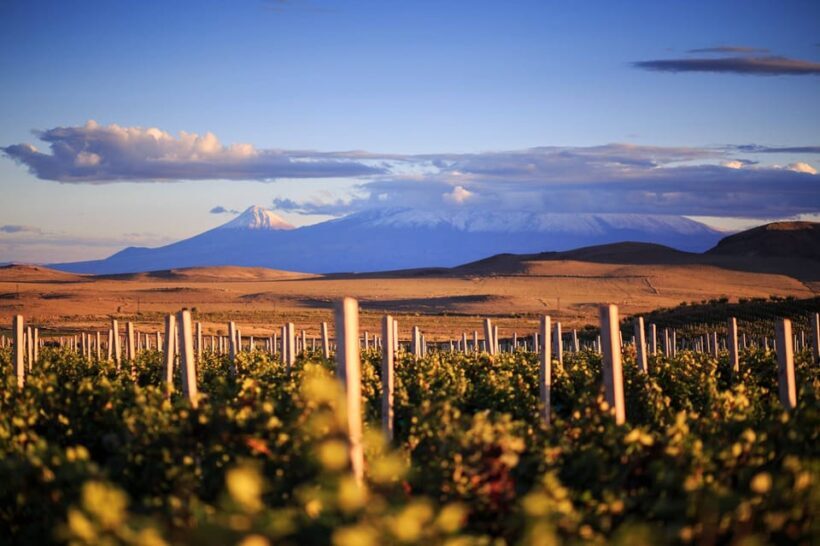 Yerevan: Khor Virap Day Trip with Mount Ararat Wine Tasting - Practical Details: What to Expect