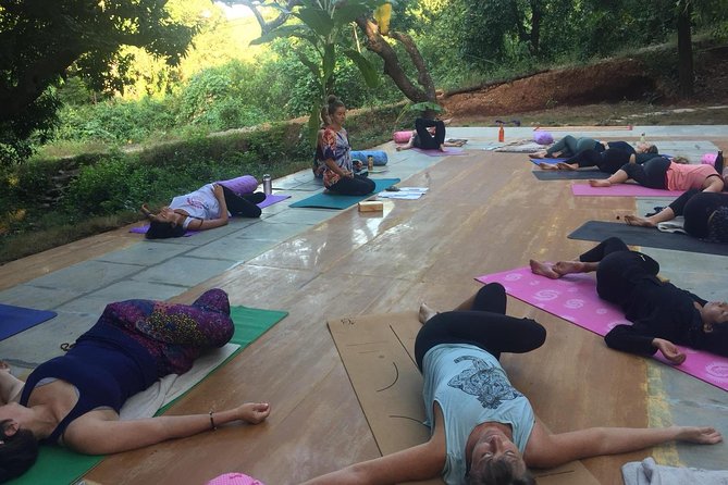 Yin Yoga Therapy Training - 200 Hours (Yoga Alliance) - Price and Value: Is It Worth It?