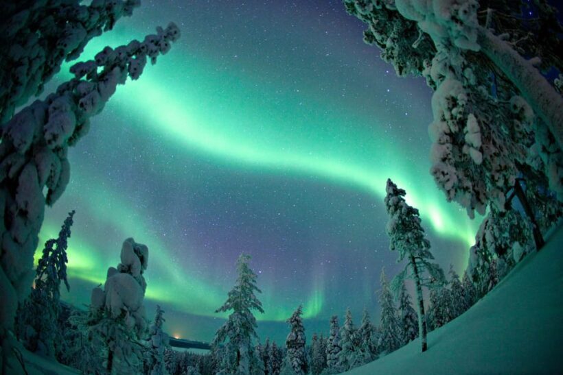 Ylläs: Seeking Northern Lights Photo Tour - The Experience Guides & Tips
