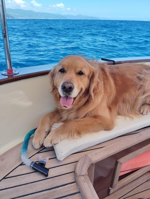 Yoga and meditation by boat in Portofino - The Sum Up: Who Will Love This Experience?