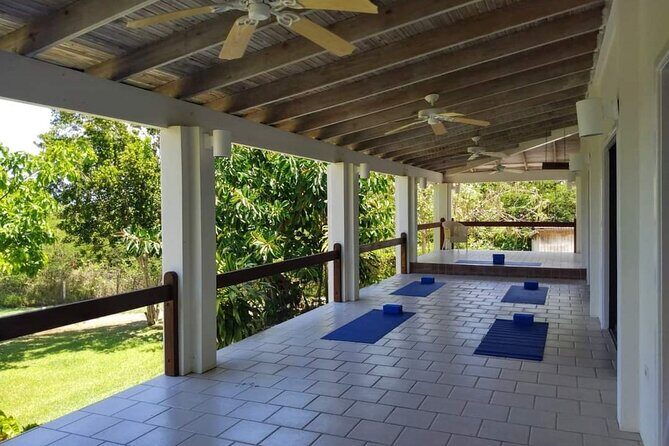 Yoga and Meditation, Group or Private Sessions in Nevis - An Insider Look at the Experience