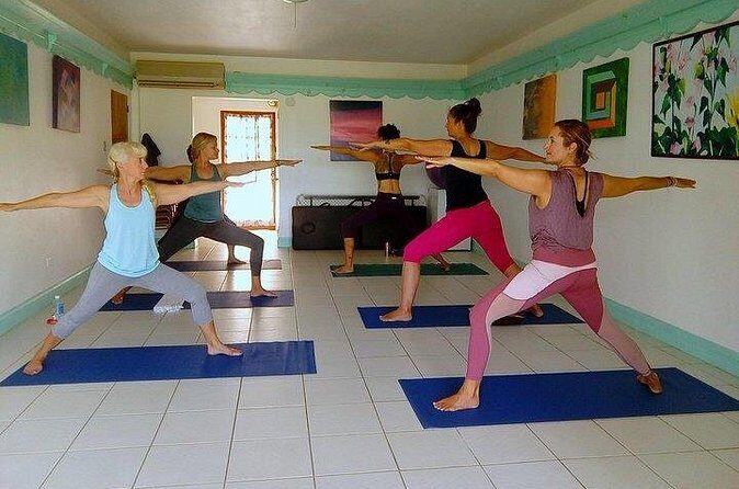 Yoga and Meditation, Group or Private Sessions in Nevis - Practical Tips for Booking and Participating