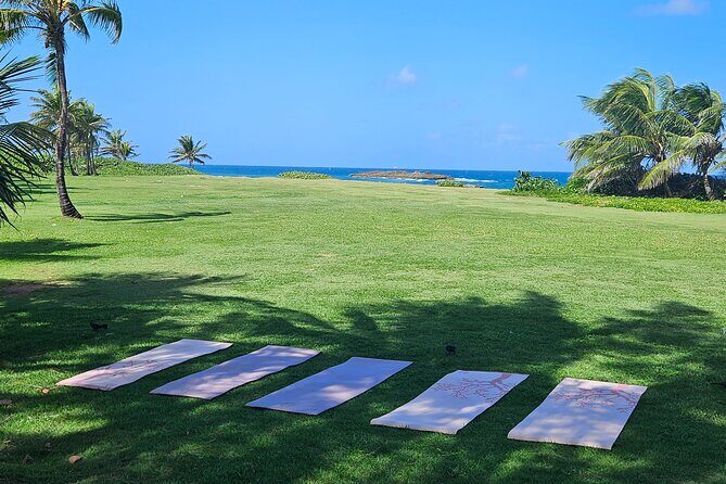 Yoga and Sound Healing at the Beach! - An In-Depth Look at the Beach Yoga & Sound Healing Tour