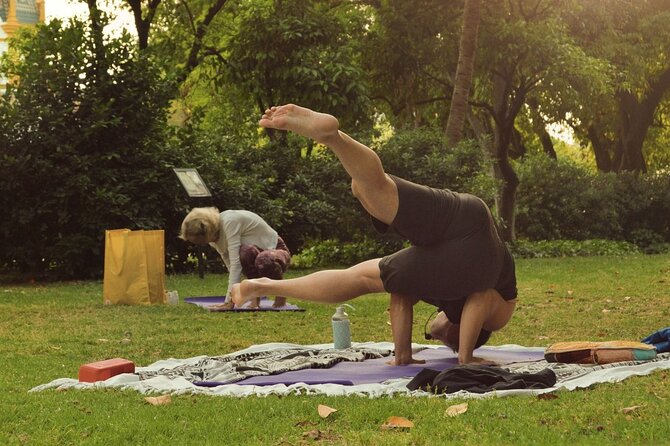 Yoga at María Luisa Park in Seville - Overview and Location