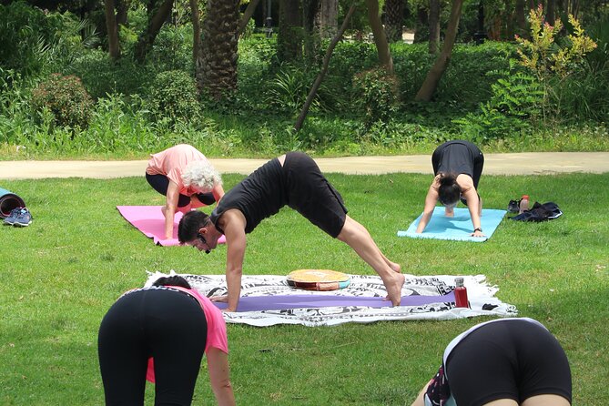 Yoga at María Luisa Park in Seville - Community Experience