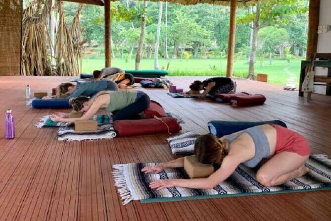yoga class - Vinyasa Flow (wellness treatments Sri Lanka) - What to Expect: A Detailed Look at the Experience