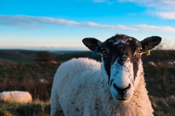 Yoga & Forest Bathing Day Retreat - FAQ