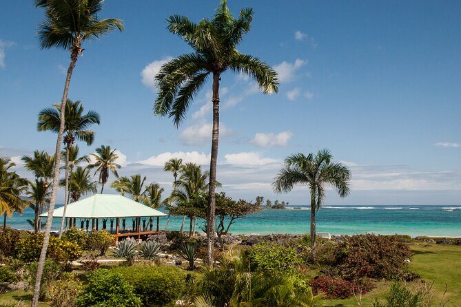 Yoga Session at Villa Serena, Las Galeras - What Makes It Unique? Aerial Yoga and Sunrise Magic