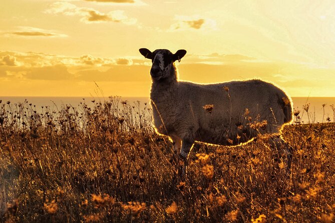 Yoga & Soundbath in Nature near Brighton - FAQ