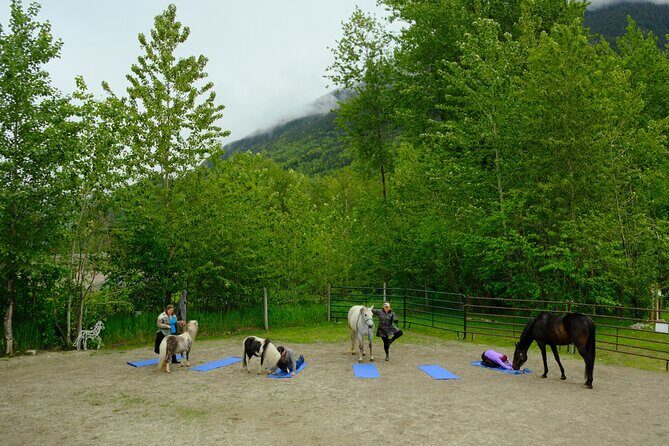 Yoga with Horses - Discovering Yoga with Horses: What to Expect in Skagway