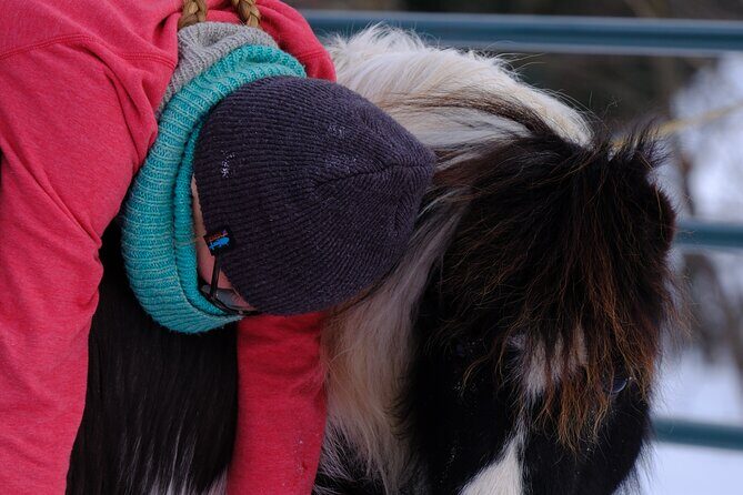 Yoga with Horses - Pricing and Value