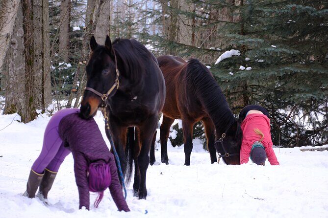 Yoga with Horses - Final Thoughts