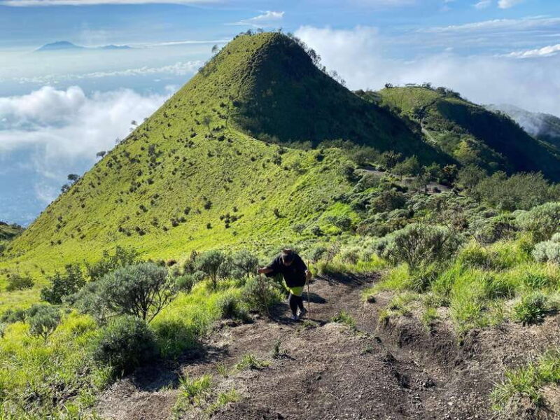 Yogyakarta: 1 Day Trip Mount Merbabu Sunrise Hike - The Itinerary: A Deep Dive