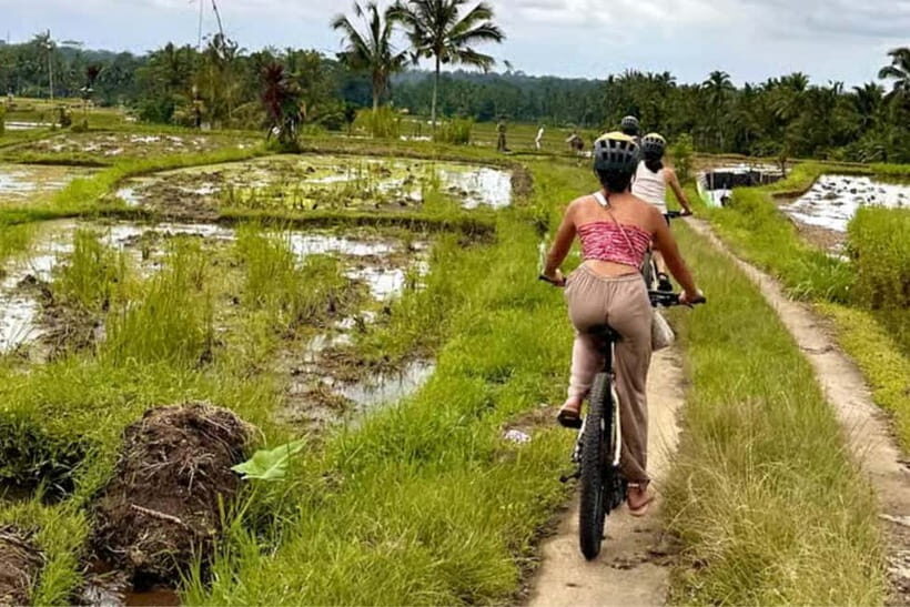 Yogyakarta: 3-Hour Bike Tour Through Villages with Transfers - Authenticity and Value