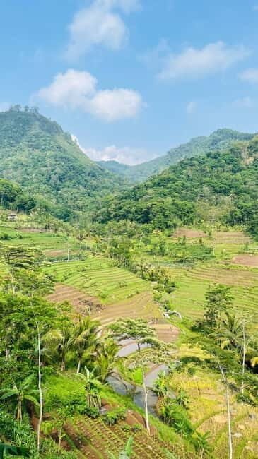 Yogyakarta: Borobudur Climb-Up Selogriyo Rice Field Trekking - The Sum Up