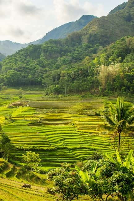 Yogyakarta ;Borobudur Climb Up & Selogriyo Tempel Tracking - Itinerary Breakdown: From Monuments to Natural Beauty