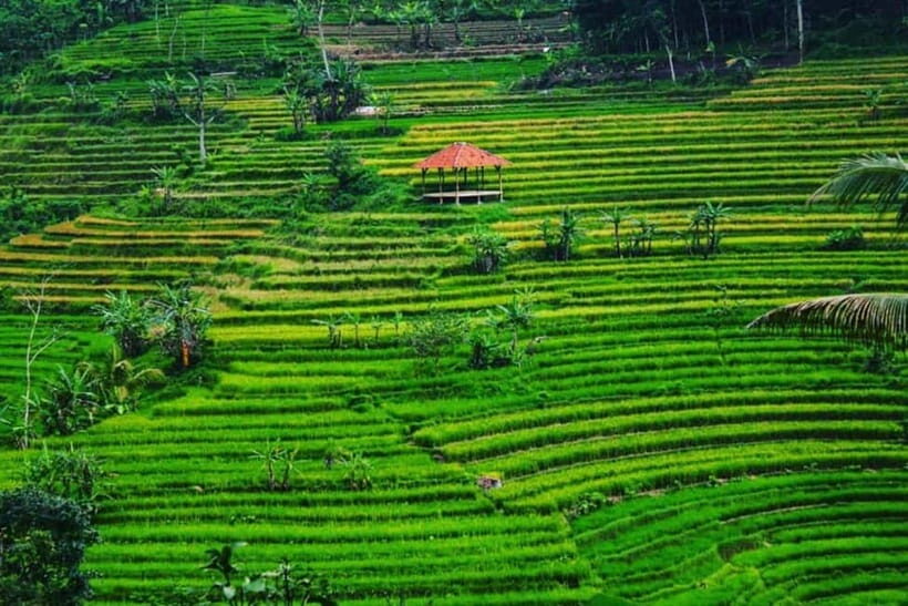Yogyakarta ;Borobudur Climb Up & Selogriyo Tempel Tracking - Insights from Reviews and Feedback